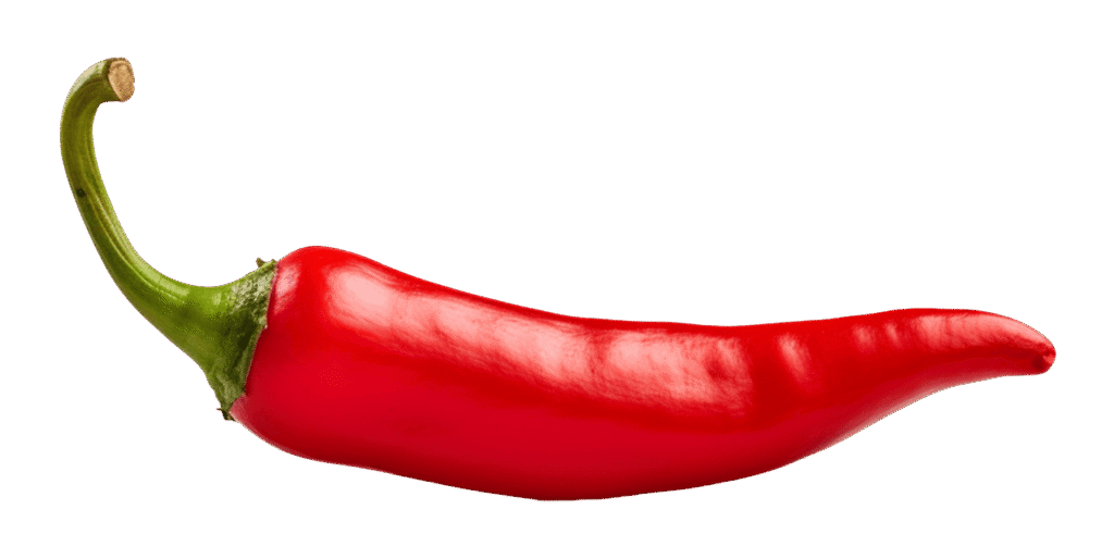 Home - Sri Tattva Naturals – Shop 100% Organic Spices Online